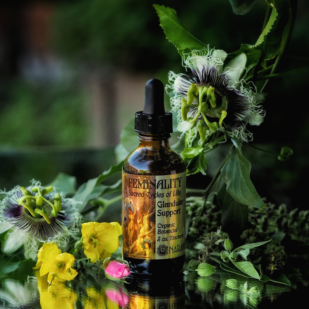 Feminality~ Glandular Support ~ Organic Botanical Tincture – NARAYAN